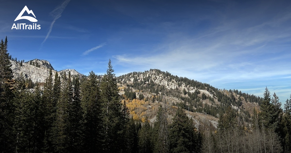 10 Best trails and hikes in Brighton | AllTrails