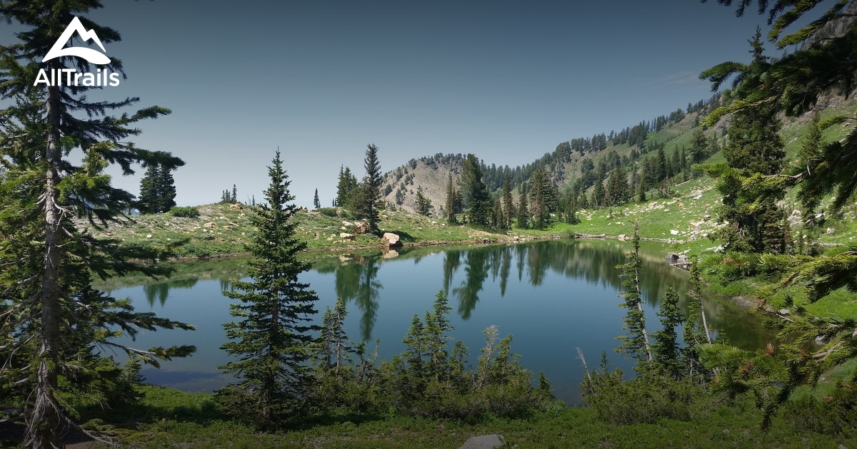 Best hikes and trails in Lewiston | AllTrails