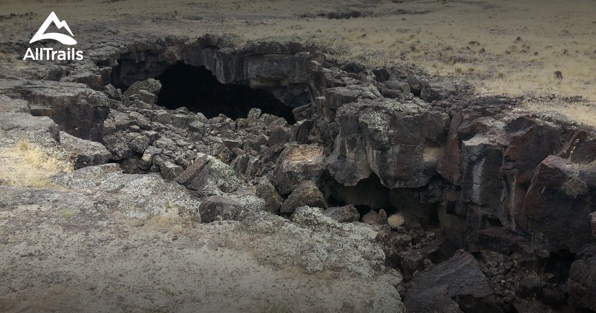 Best hikes and trails in Meadow | AllTrails