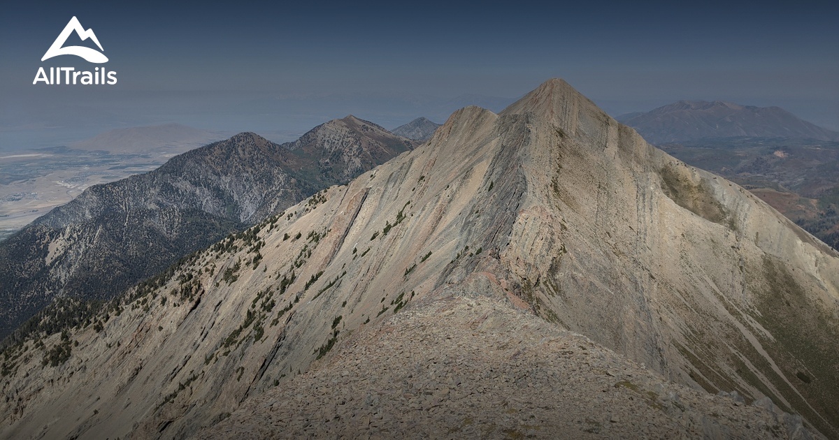 Best forest trails in Mona | AllTrails