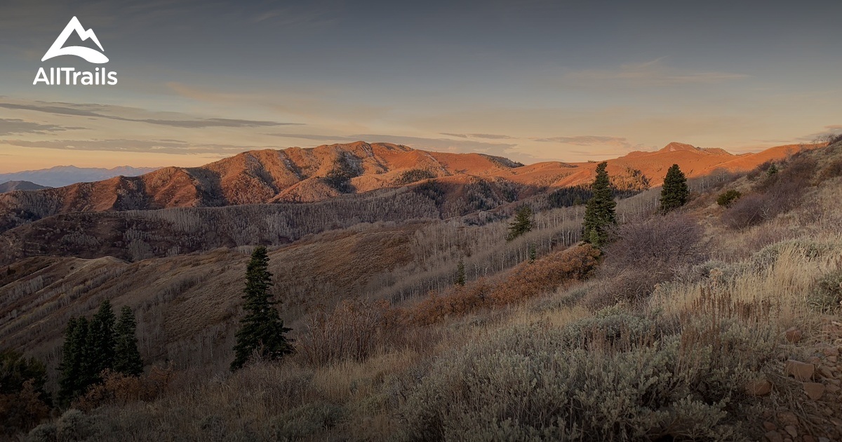 Best Trails near Morgan, Utah | AllTrails