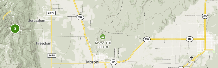 Best Hikes and Trails in Mount Pleasant | AllTrails