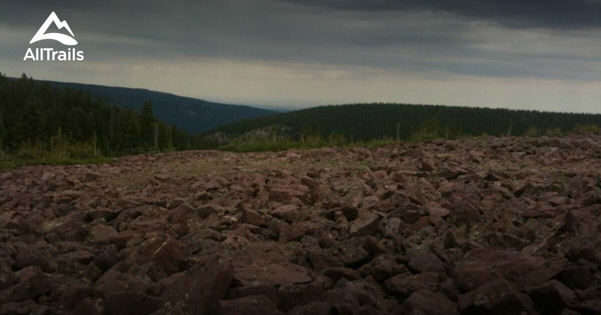 Best trail running trails in Mountain Home | AllTrails