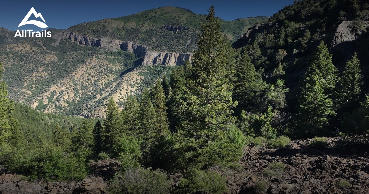 Best mountain biking trails in North Logan | AllTrails