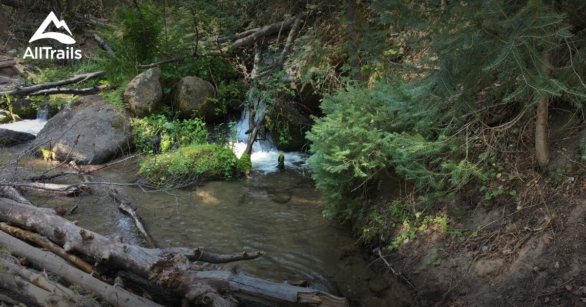 10 Best trails and hikes in Pine Valley | AllTrails