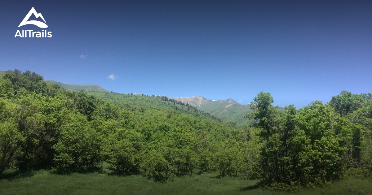 Best Trails near Springville, Utah | AllTrails