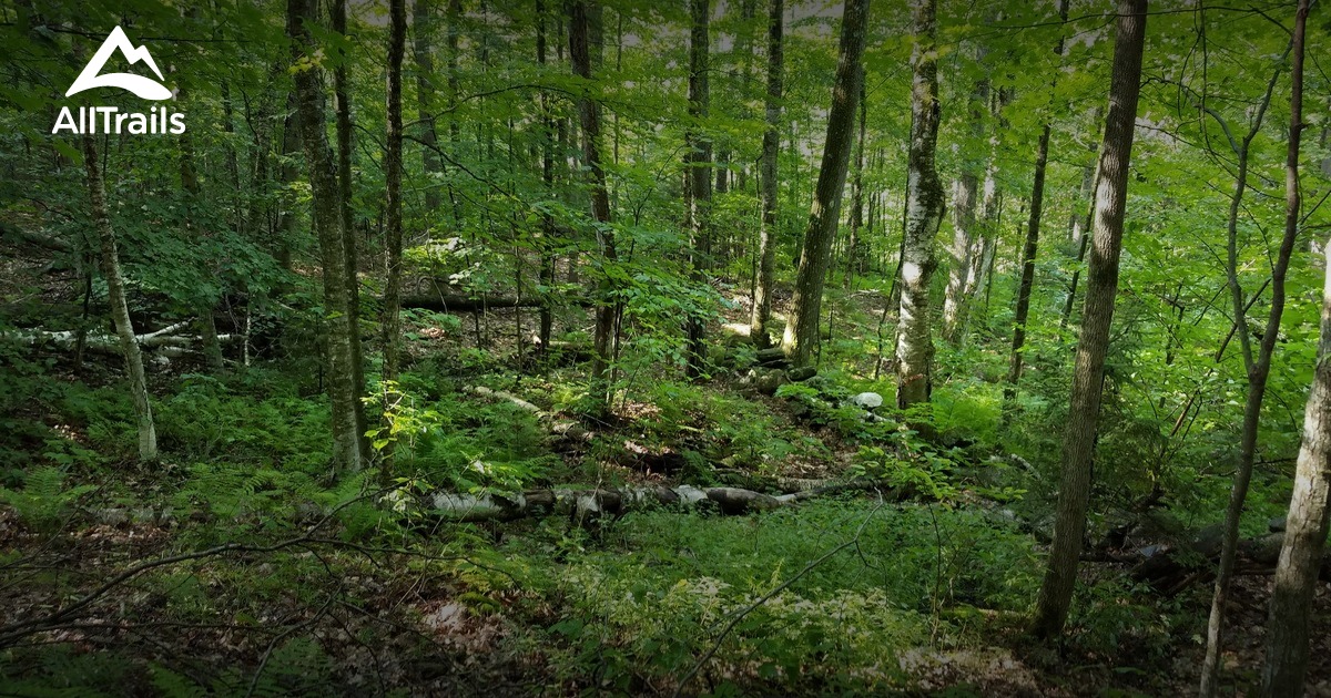 Best hikes and trails in Chester | AllTrails