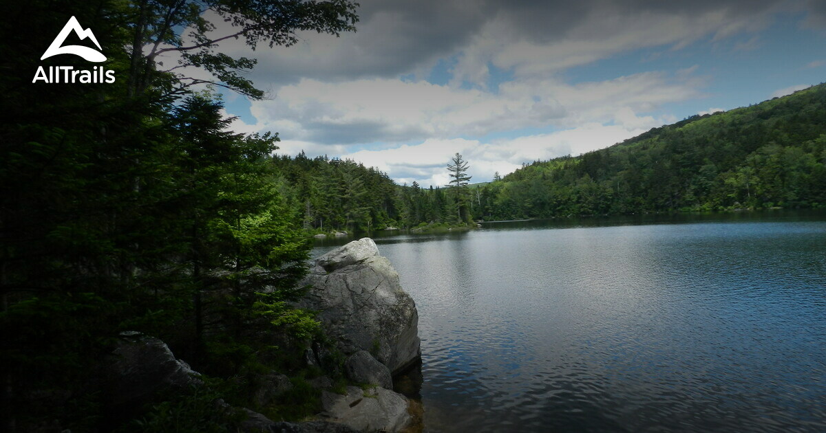 Best forest trails in Danby | AllTrails