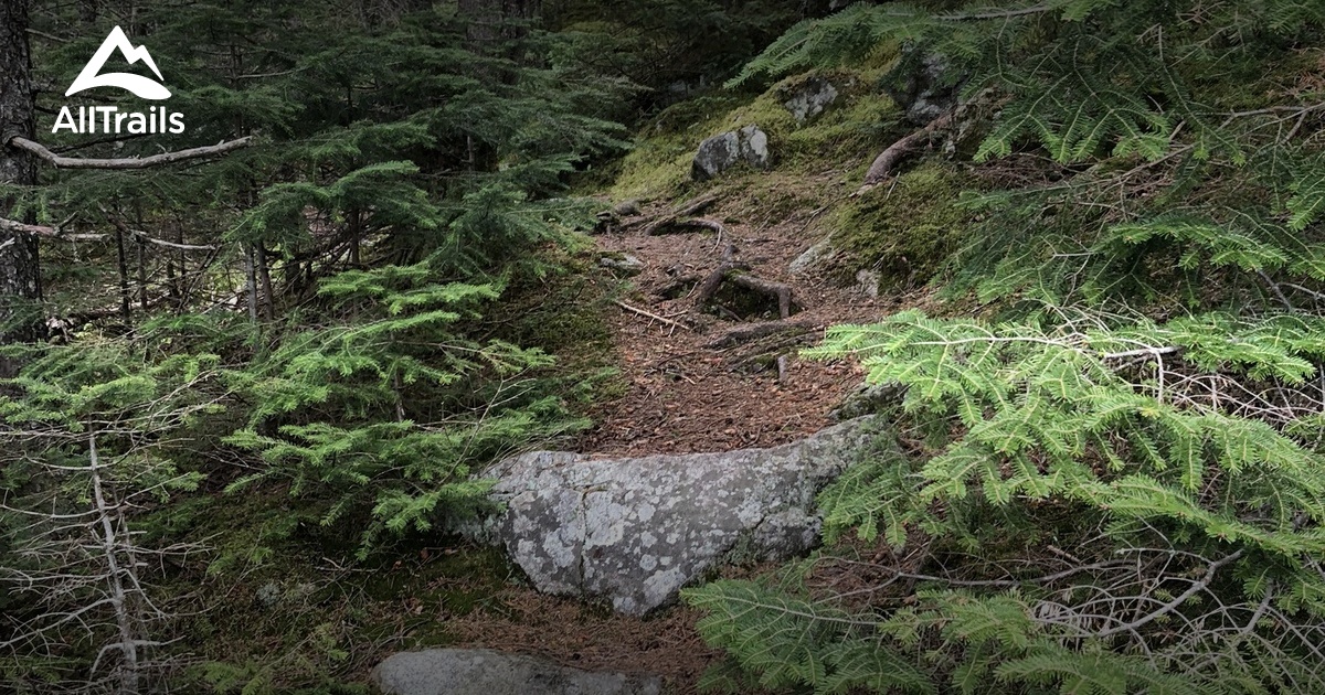 10 Best trails and hikes in East Burke | AllTrails