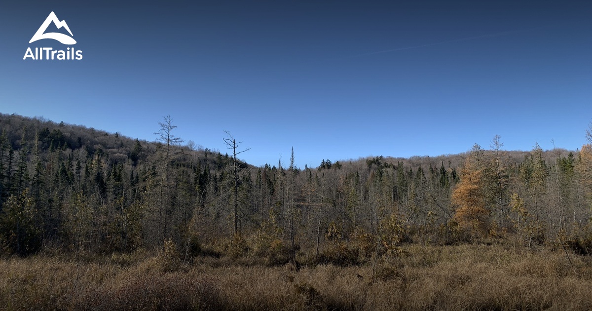 Best lake trails in Granby | AllTrails