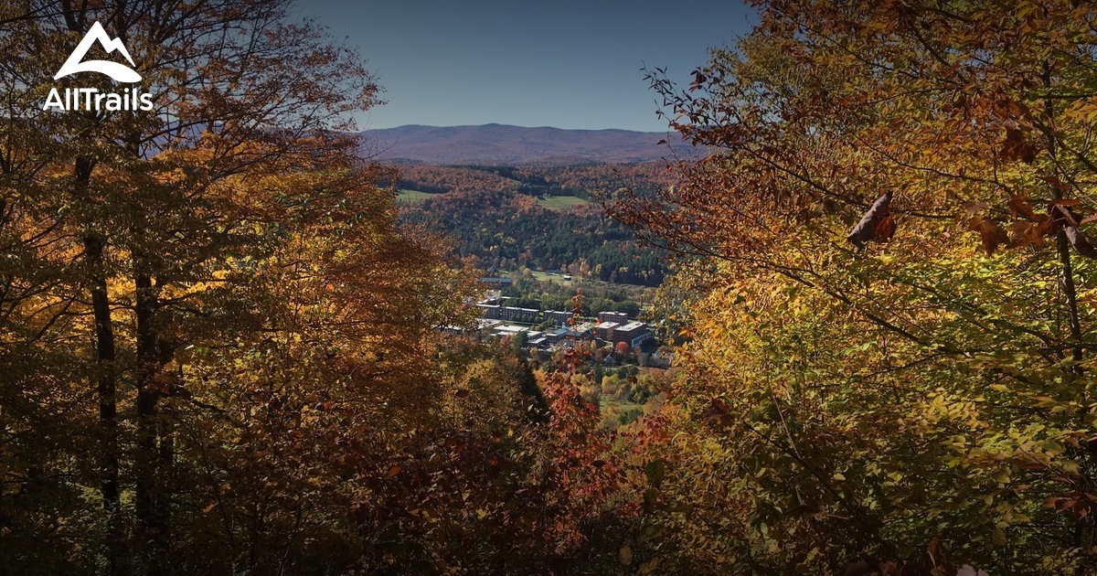 Best forest trails in Northfield | AllTrails