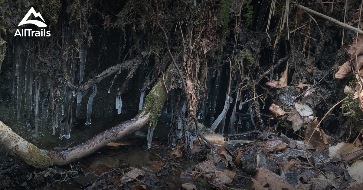 Best hikes and trails in Northfield Falls | AllTrails