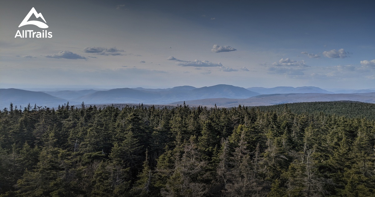 2023 Best Wildlife Trails in Searsburg | AllTrails