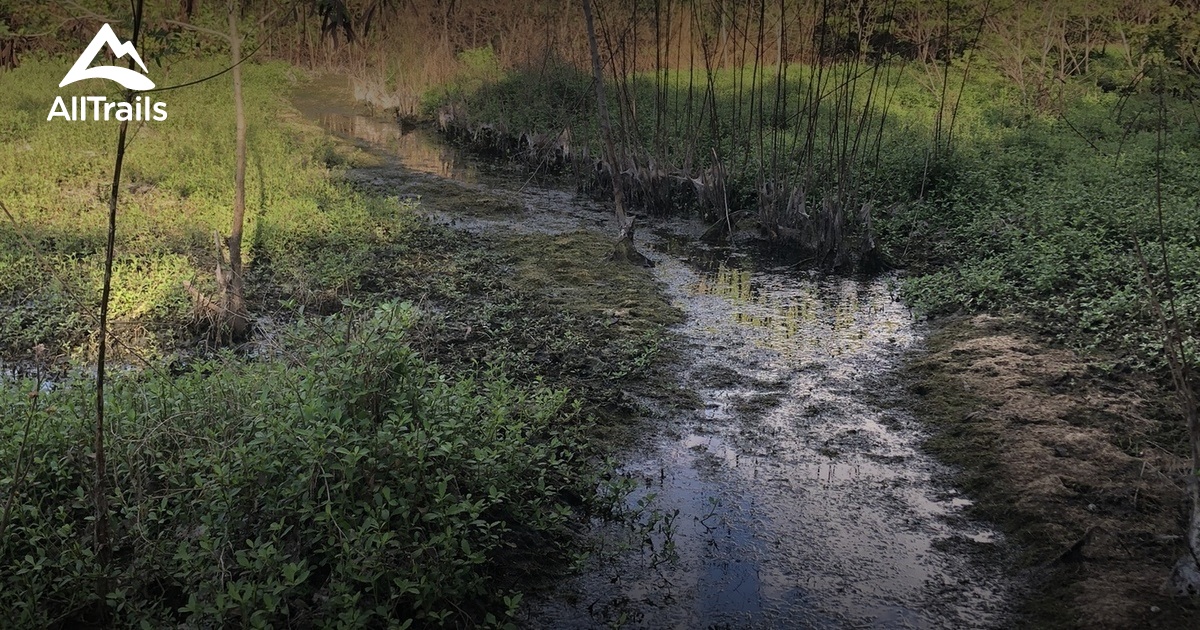 Best hikes and trails in Kingshill | AllTrails