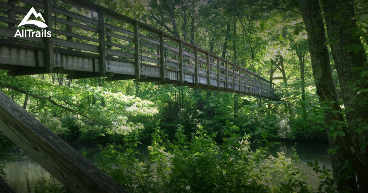 Best hikes and trails in Bland | AllTrails