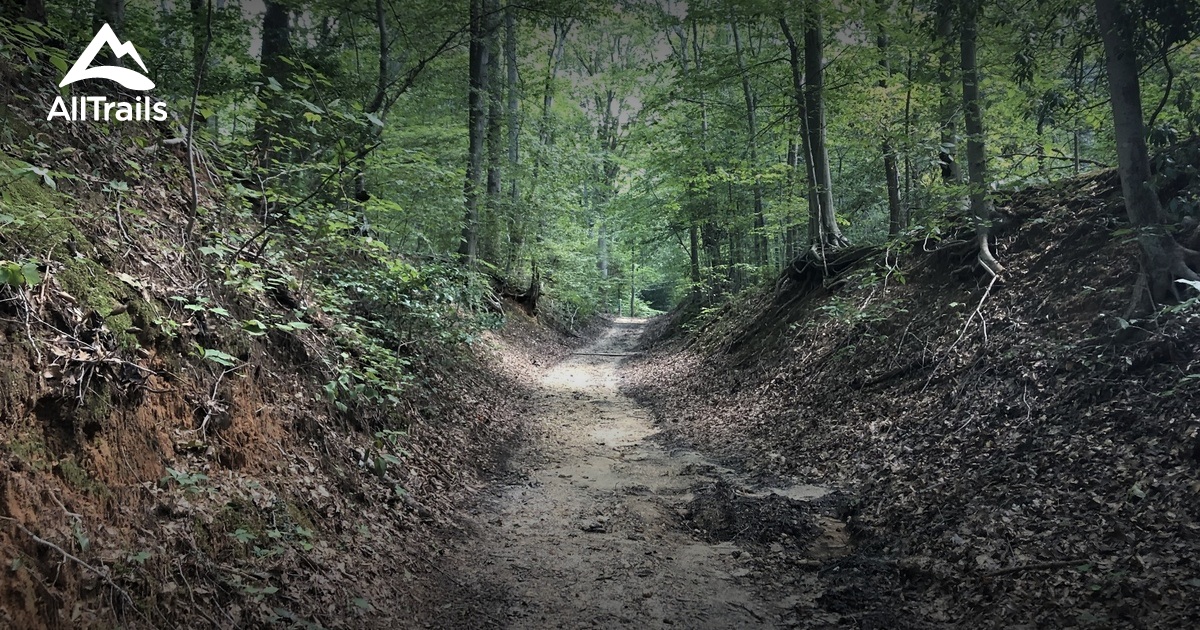 Best forest trails in Brooke | AllTrails