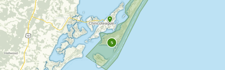 Best Trails near Chincoteague, Virginia | AllTrails