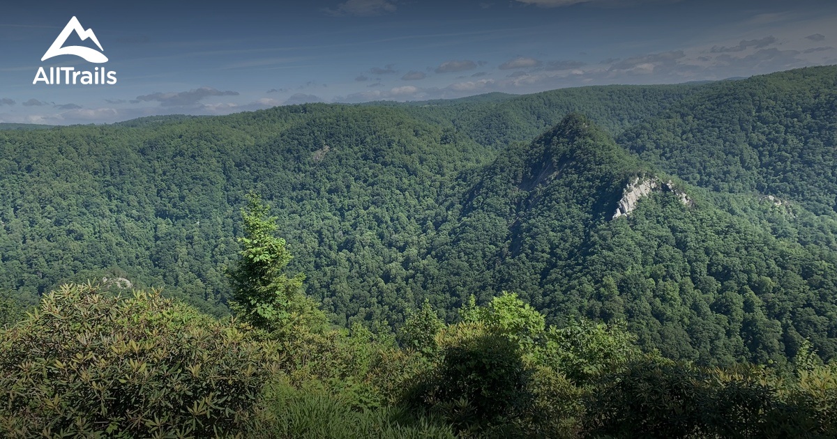 Best Wild Flowers Trails in Claudville | AllTrails