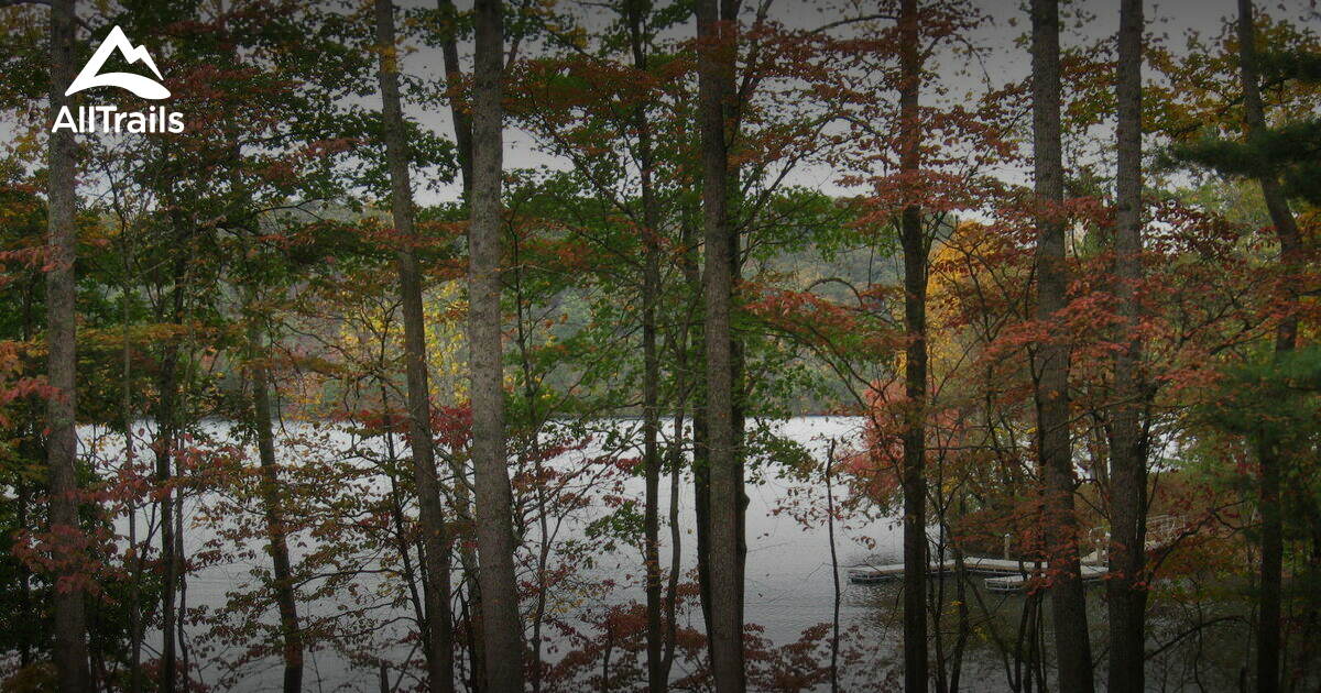 Best forest trails in Dublin | AllTrails