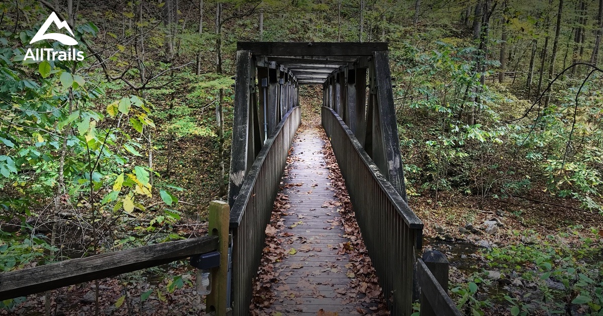 Best Trails near Duffield, Virginia | AllTrails