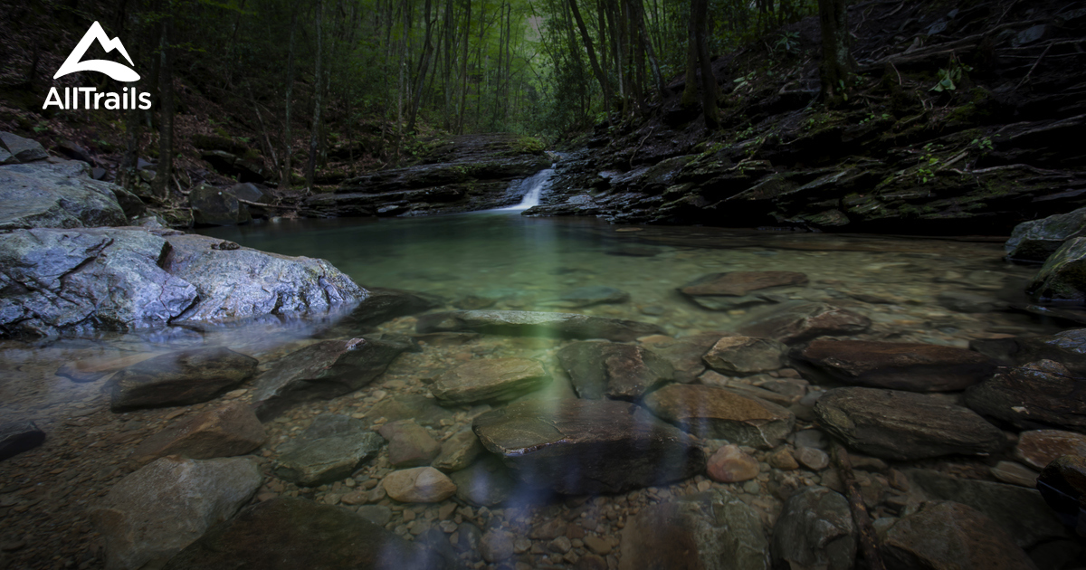 Best Trails near Fort Blackmore, Virginia | AllTrails