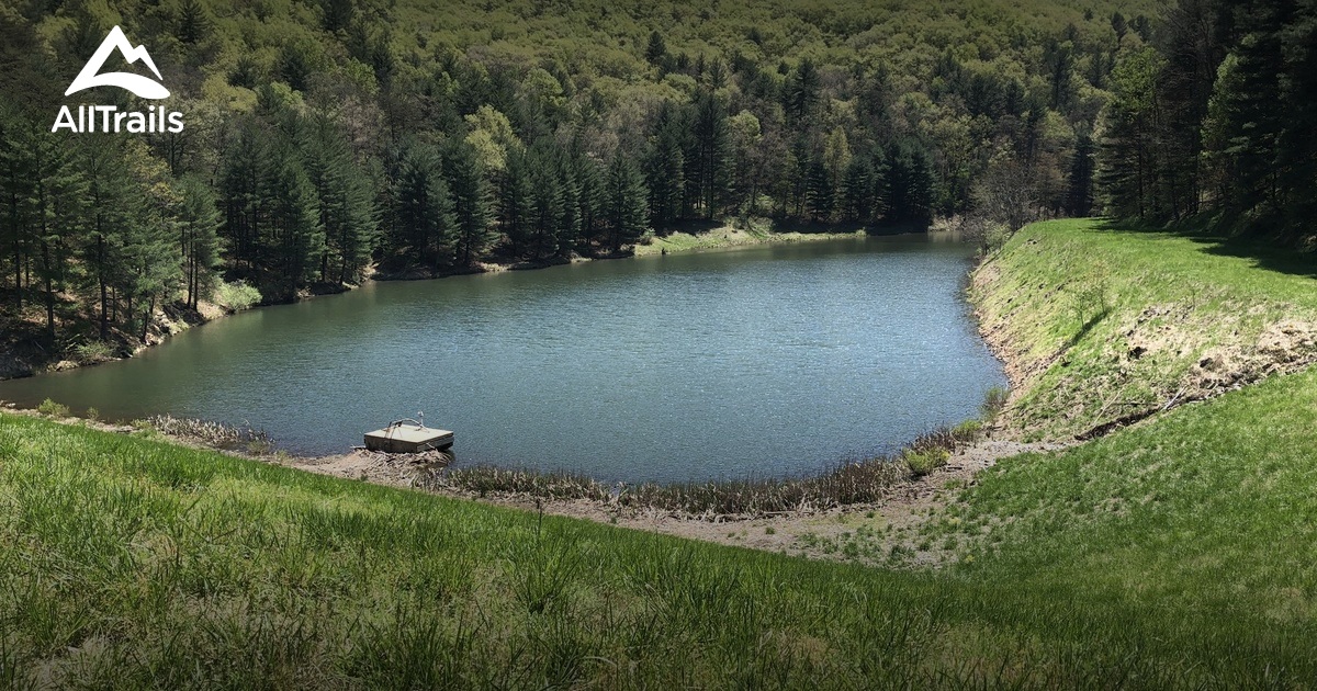 Best Trails near Fulks Run, Virginia | AllTrails