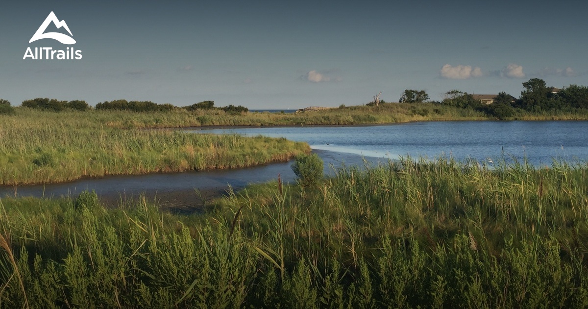 10 Best trails and hikes in Hampton | AllTrails