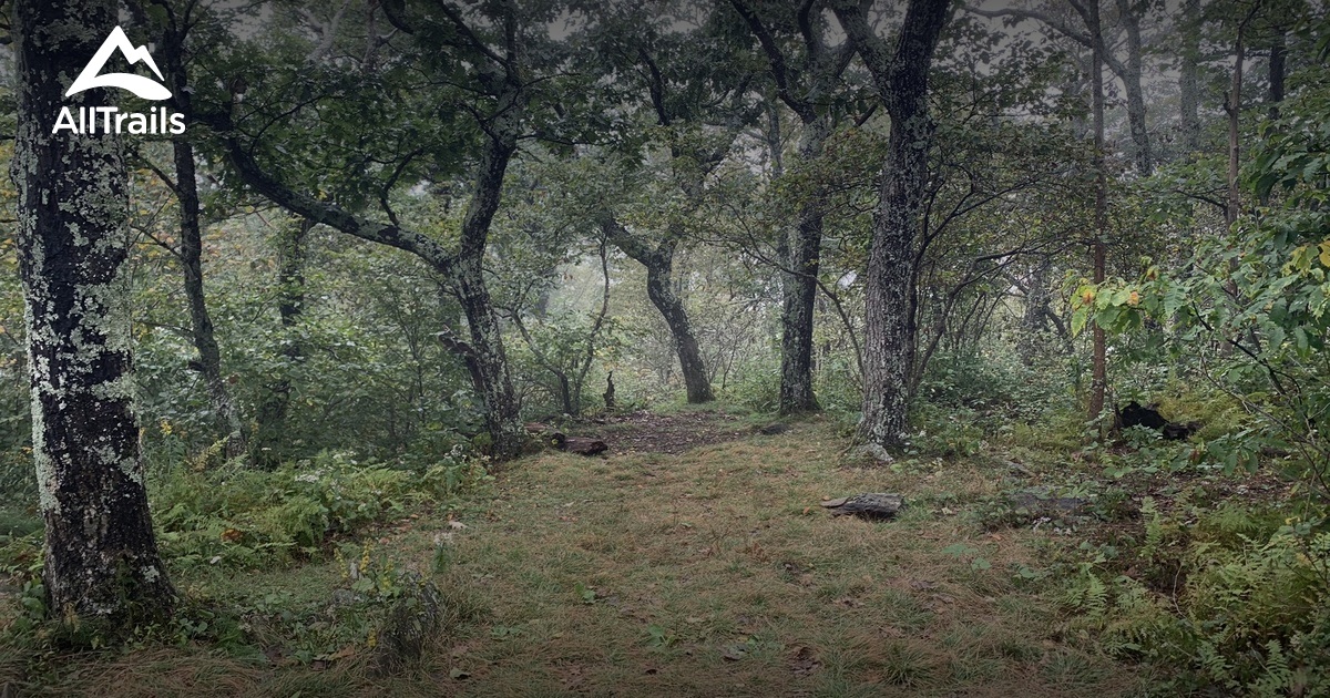 Die Besten Routen mit Historischen Stätten in Hood | AllTrails