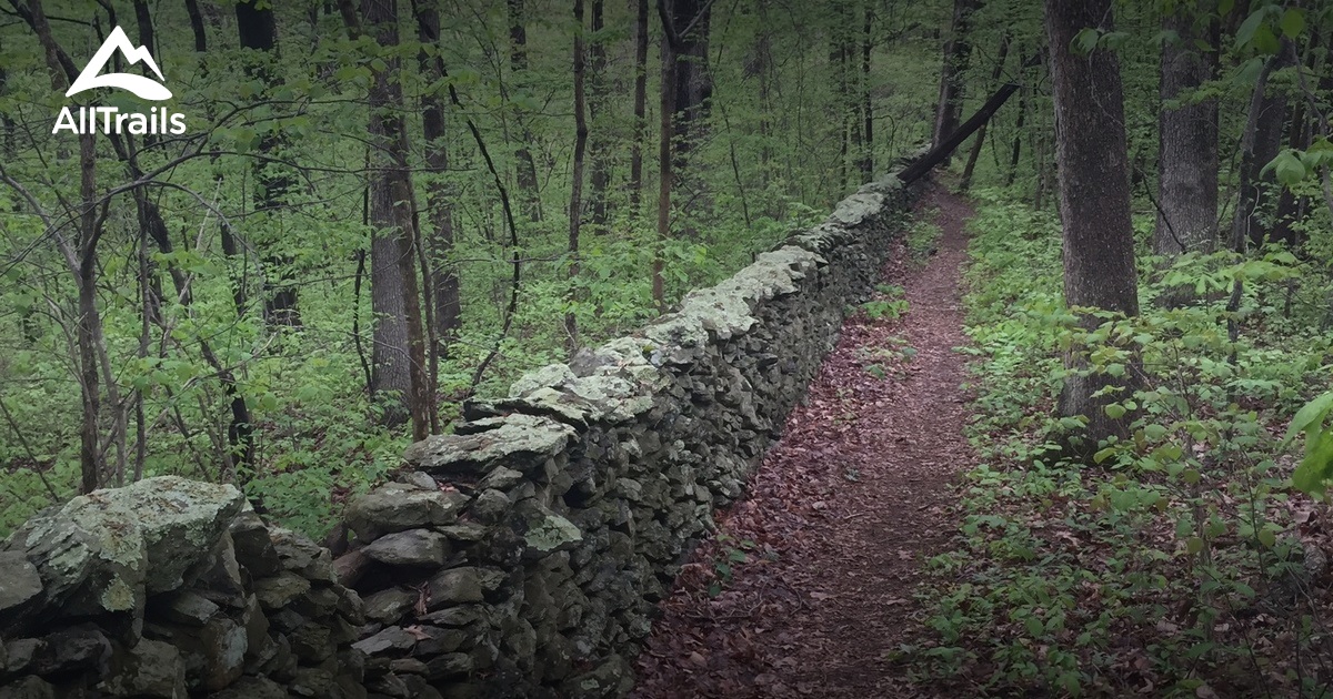 Best hikes and trails in Marshall | AllTrails