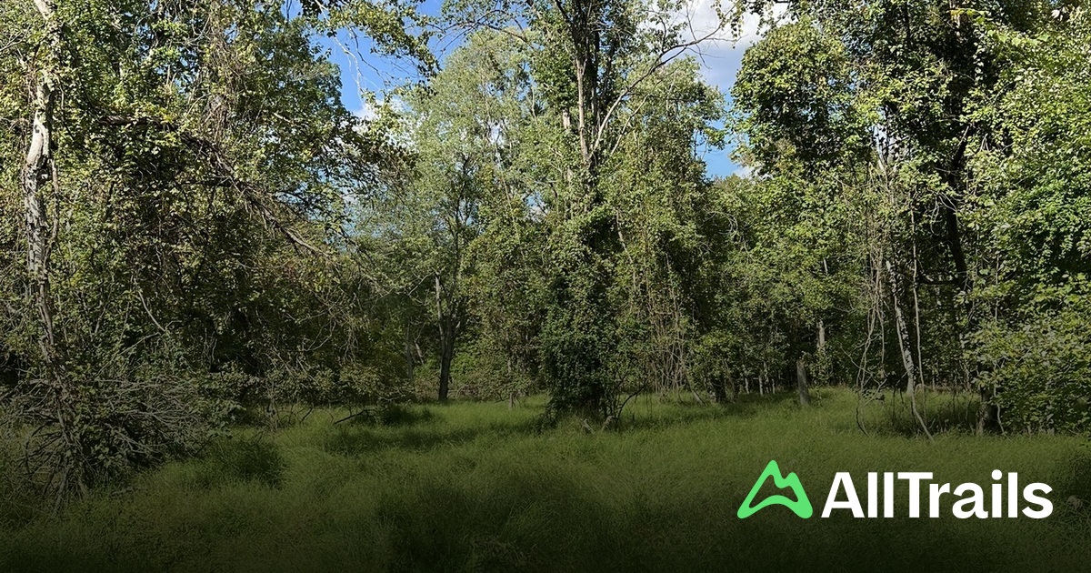 Best hikes and trails in Mason Neck | AllTrails