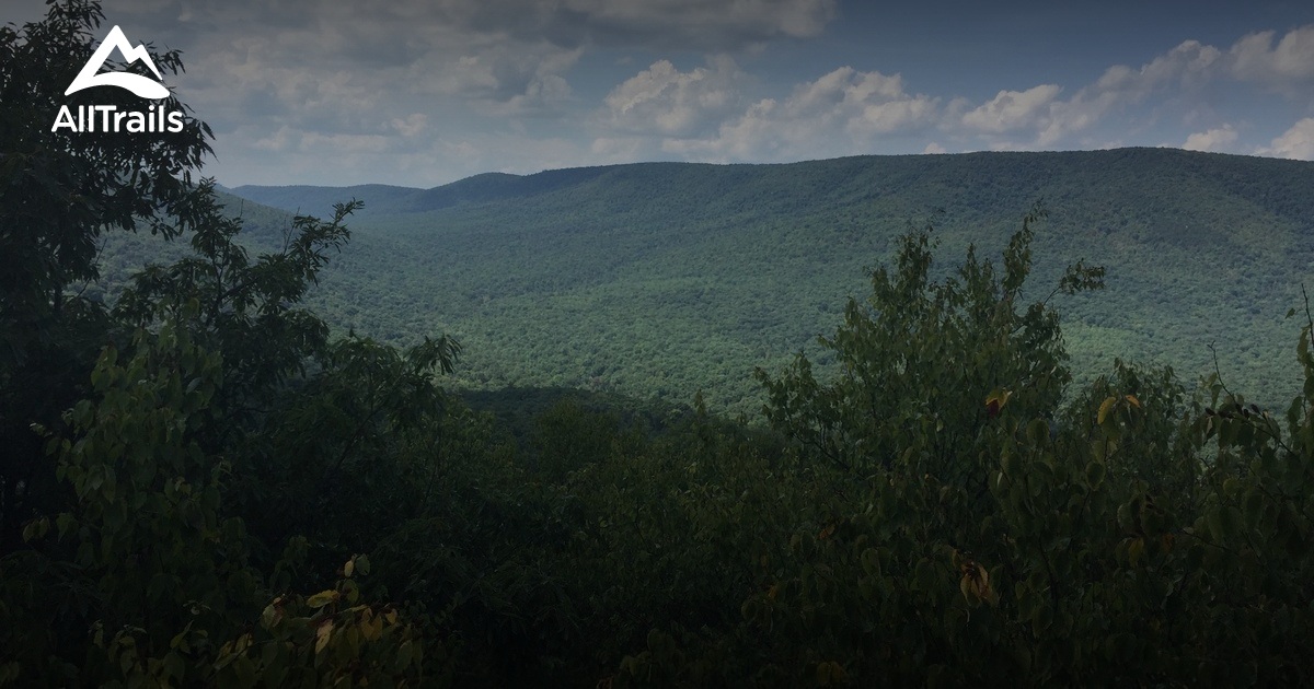 Best hikes and trails in Maurertown | AllTrails