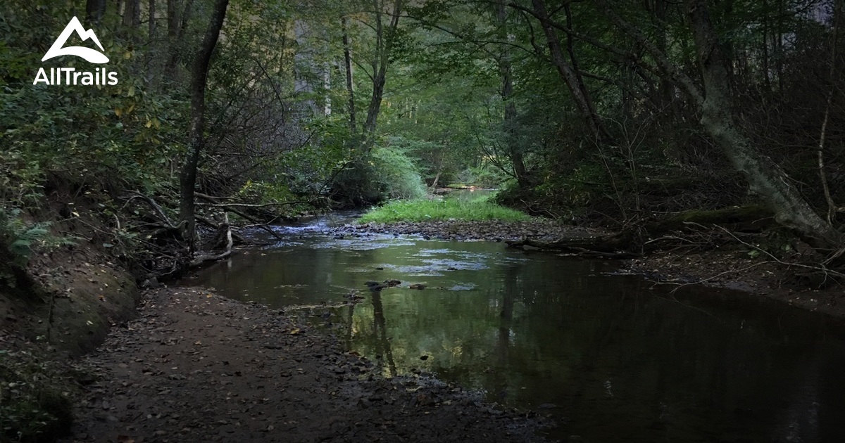 Best Trails near Meadows of Dan, Virginia | AllTrails