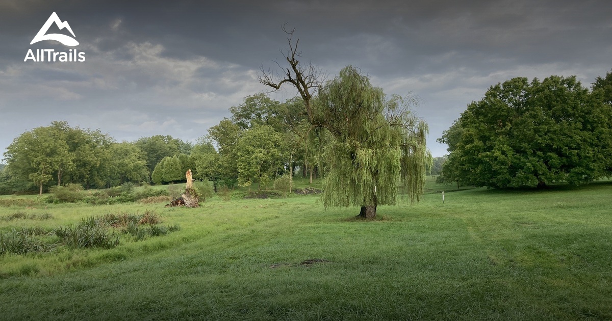 Best hikes and trails in Millwood | AllTrails