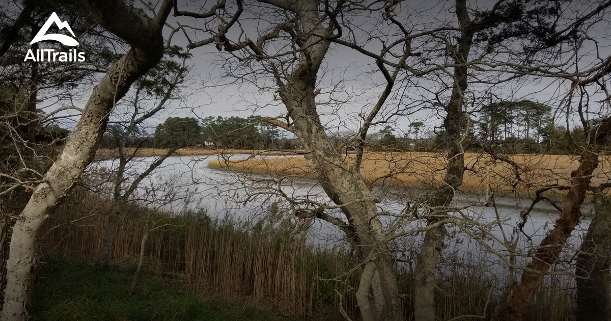 Best bird watching trails in Nelsonia | AllTrails