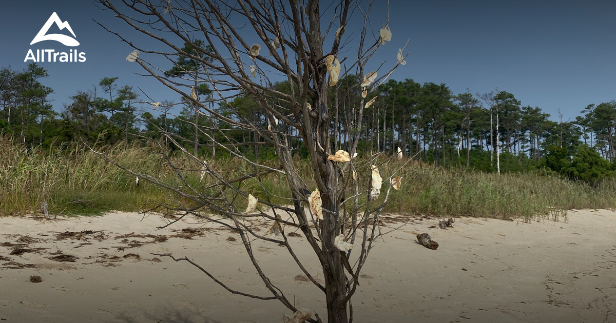 Best hikes and trails in Onemo | AllTrails