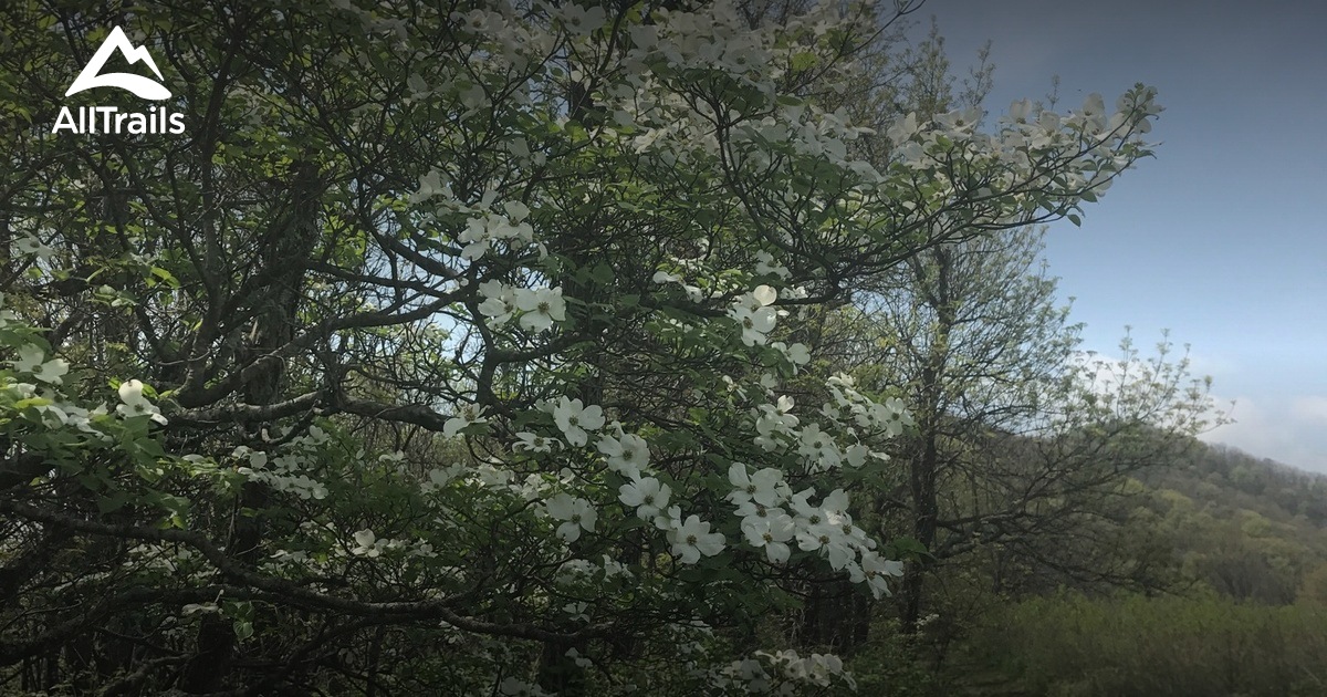 Best hikes and trails in Roseland | AllTrails