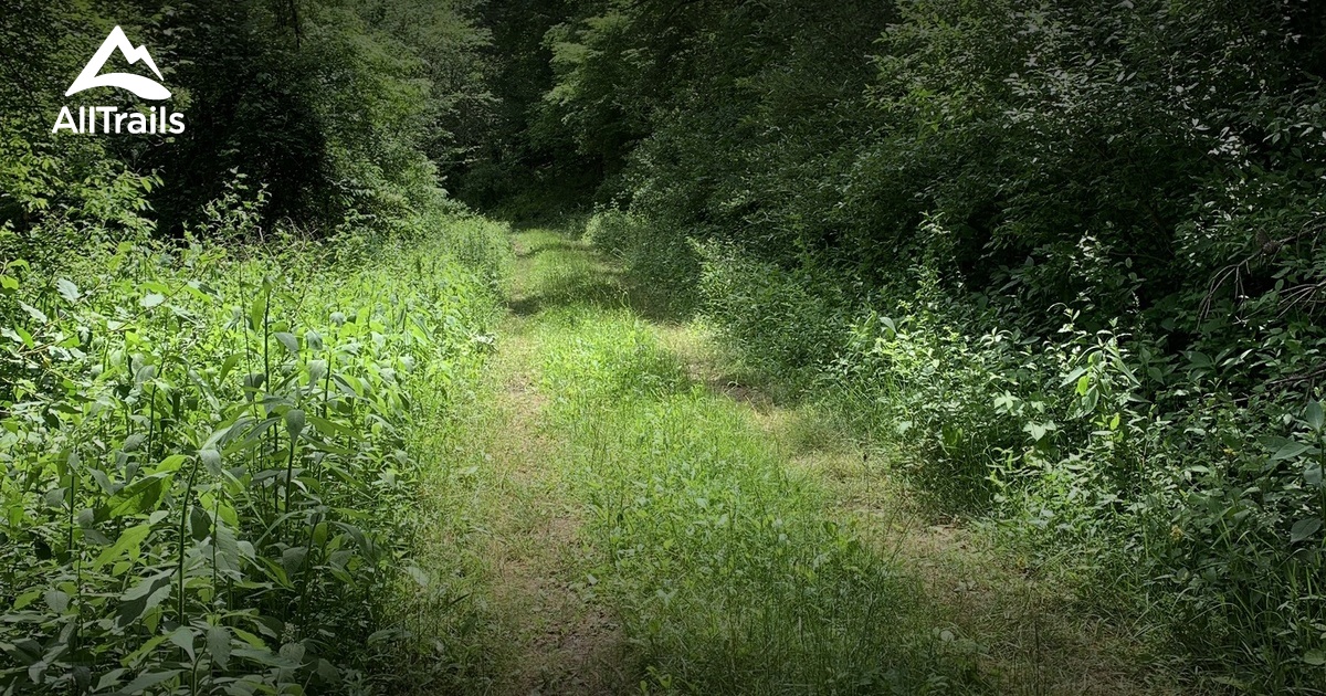 Best hikes and trails in Rural Retreat | AllTrails