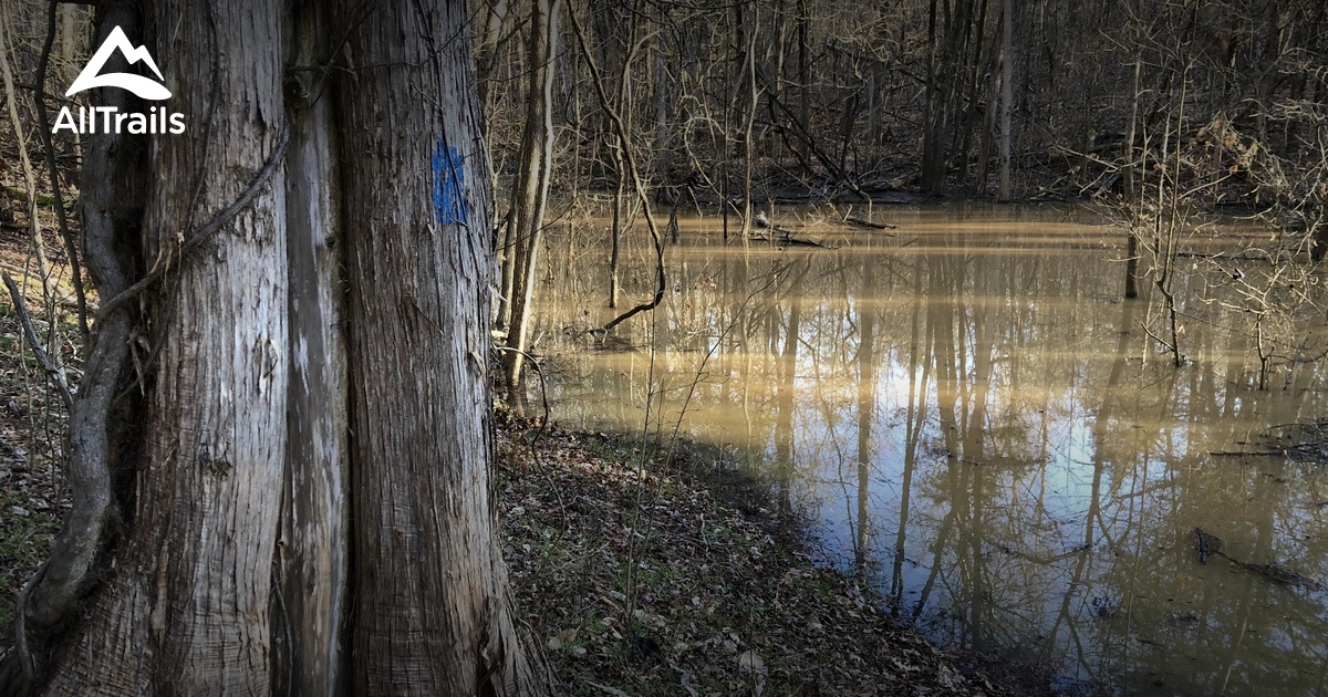 Best hikes and trails in Scottsburg | AllTrails