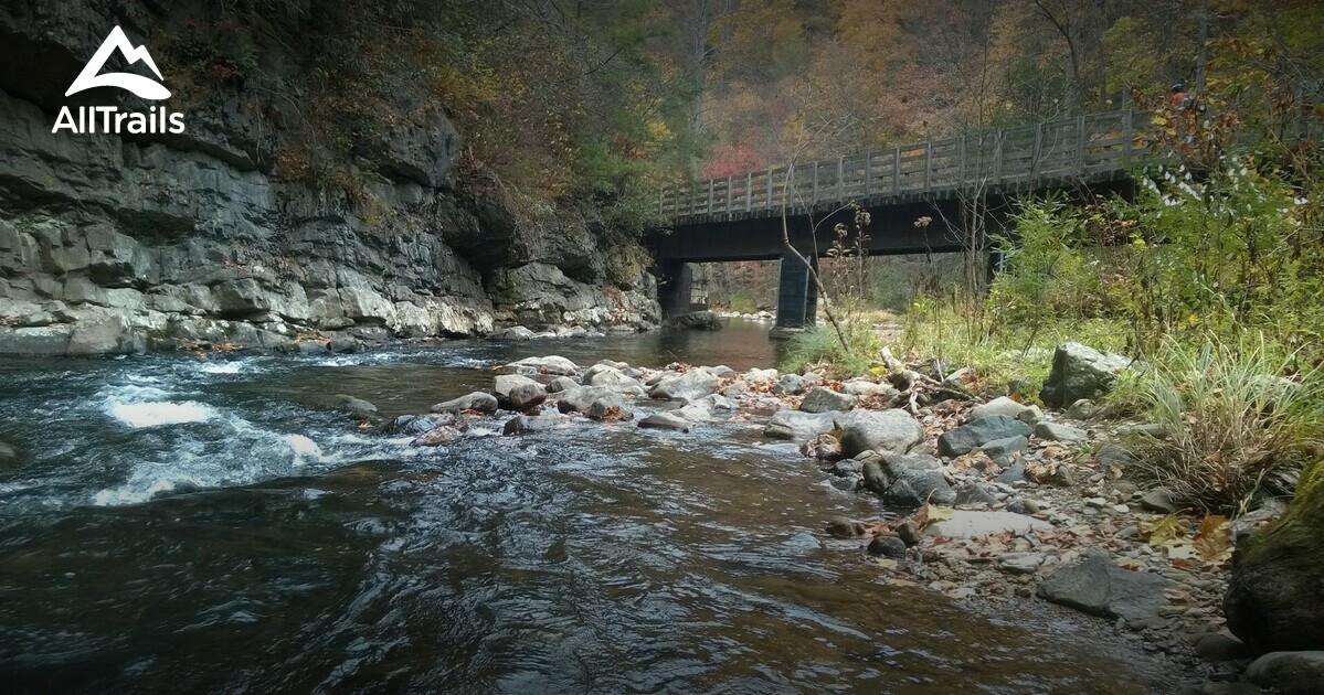 10 Best trails and hikes in Whitetop | AllTrails