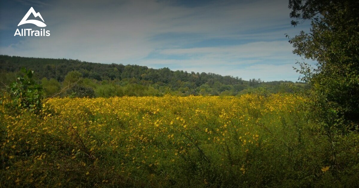 Best hikes and trails in Wingina | AllTrails