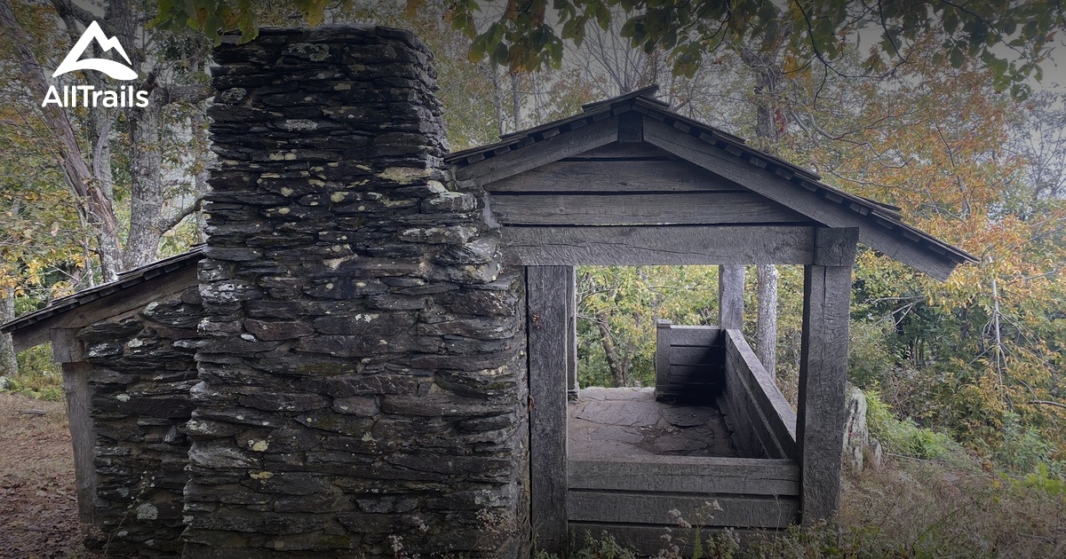 Best forest trails in Woolwine | AllTrails