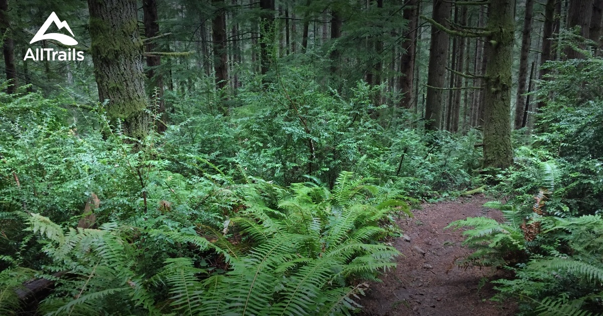 Best Trails near Bremerton, Washington | AllTrails.com