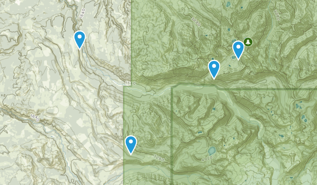 Best Trails near Carbonado, Washington | AllTrails