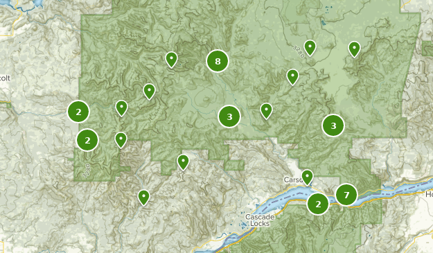 Best Trails near Carson, Washington | AllTrails