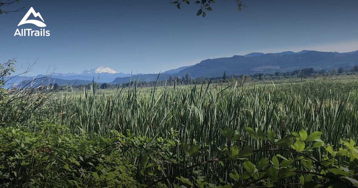 Best hikes and trails in Conway | AllTrails