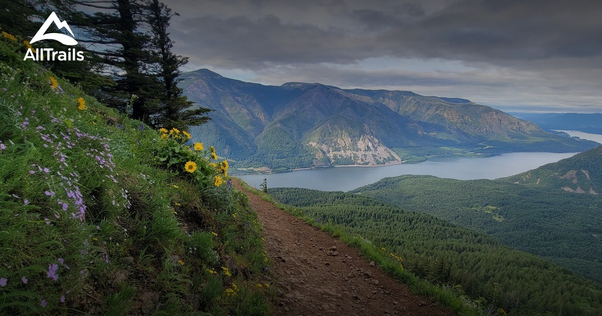 Best lake trails in Cook | AllTrails
