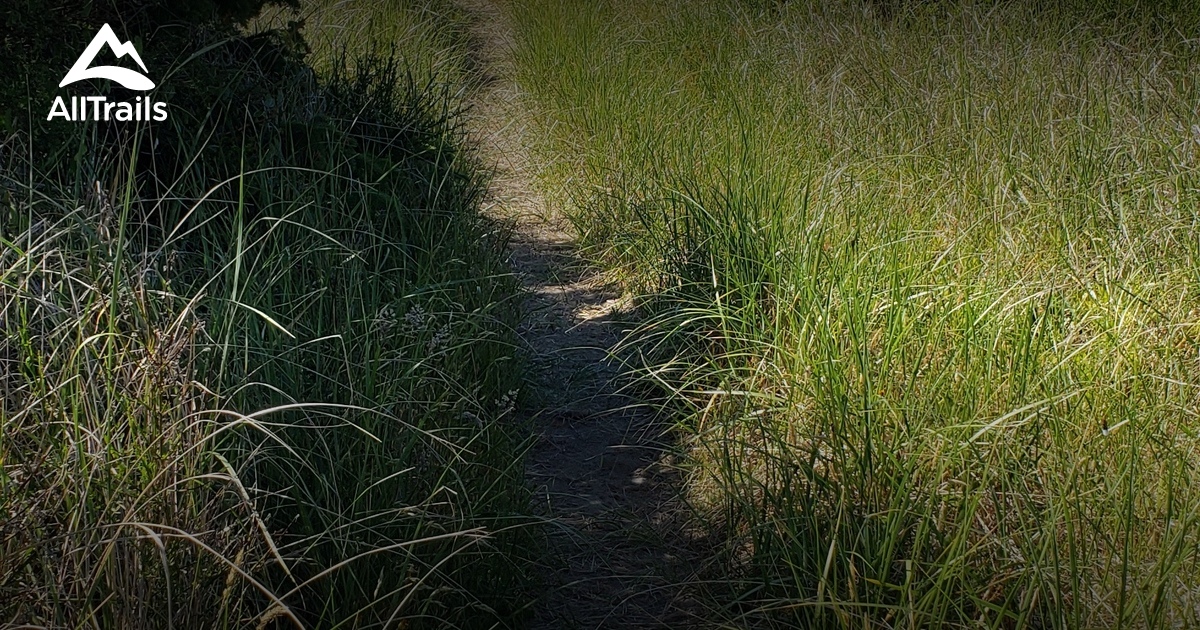 Best hikes and trails in Copalis Crossing | AllTrails
