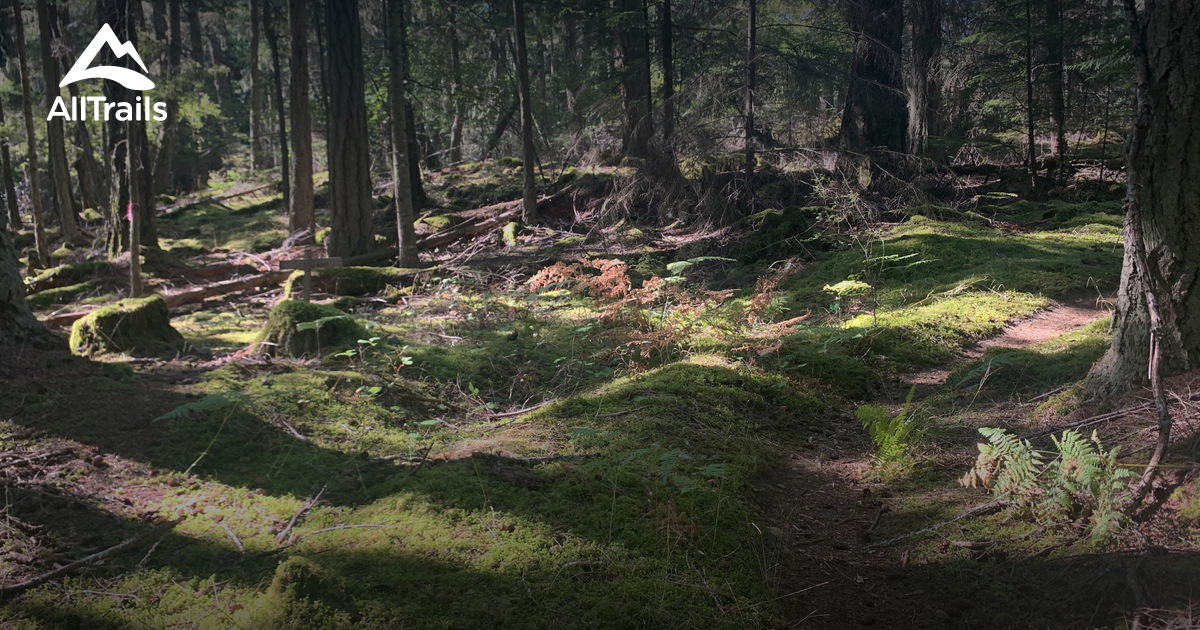 Best hikes and trails in Decatur Island | AllTrails