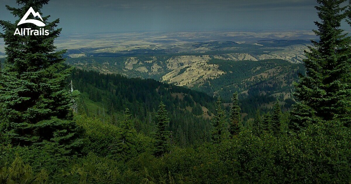 Best hikes and trails in Dixie | AllTrails