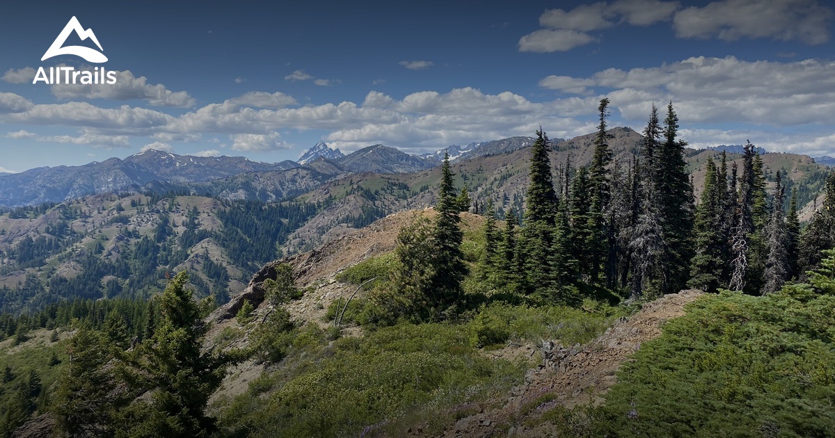 Best hikes and trails in Dryden | AllTrails